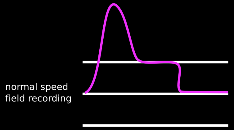 Christine Guillebaud / Standing out from the crowd – Vocal and sound ...